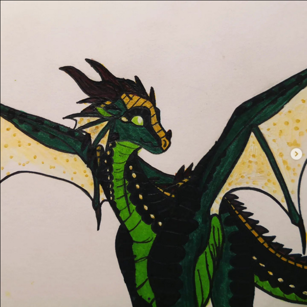 Wings Of Fire Rainwings Dragons